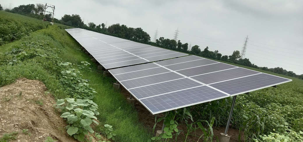 Agrovoltaica, un modelo de energía a tener en cuenta - PFI RENEWABLES
